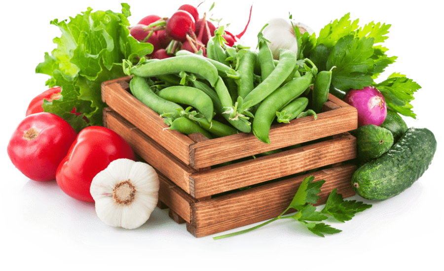 Trang chủ - CÔNG TY TNHH AGRIX VIỆT NAM