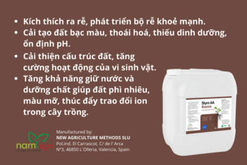 Phân ra rễ STYM AA ROOTE - CÔNG TY TNHH AGRIX VIỆT NAM